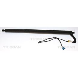 TRISCAN Gasfeder, Koffer-/Laderaum 871011306 f&uuml;r BMW