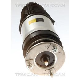 TRISCAN Luftfeder, Fahrwerk 872081102 f&uuml;r Tesla