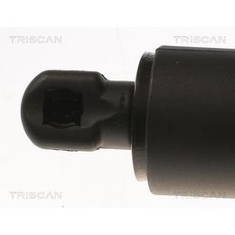 TRISCAN Gasfeder, Koffer-/Laderaum 871081202 f&uuml;r Tesla