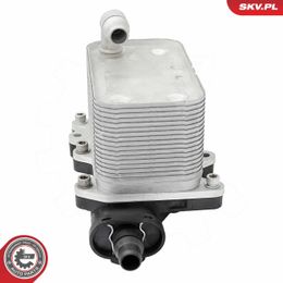 ESEN SKV &Ouml;lk&uuml;hler, Automatikgetriebe 31skv321 f&uuml;r BMW