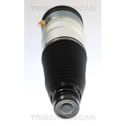 TRISCAN Luftfeder, Fahrwerk 872081106 f&uuml;r Tesla