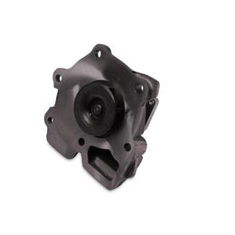 Hepu Wasserpumpe p202 f&uuml;r Ford