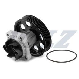DOLZ Wasserpumpe n208 f&uuml;r Opel Ford Vaughall CHEVROLET LANCIA Peugeot