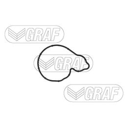 Graf Wasserpumpe pa1380 f&uuml;r BMW