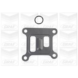 Graf Wasserpumpe pa807 f&uuml;r Ford JAGUAR