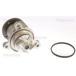 TRISCAN Wasserpumpe 860043026 f&uuml;r HYUNDAI KIA