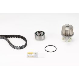 CONTINENTAL CTAM Wasserpumpe + Zahnriemensatz ct607wp1 f&uuml;r Peugeot Citro&euml;n