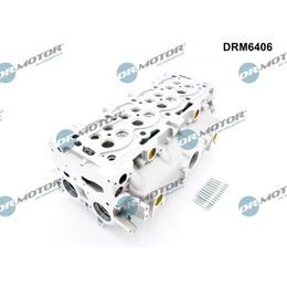 DR.MOTOR AUTOMOTIVE Zylinderkopf drm6406 f&uuml;r Ford Peugeot