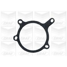 Graf Wasserpumpe pa509 f&uuml;r Ford