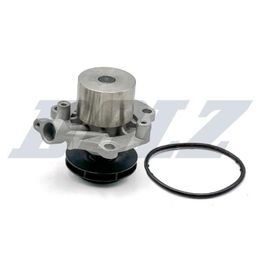 DOLZ Wasserpumpe a255 f&uuml;r VW MAN