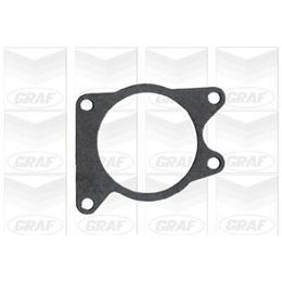 Graf Wasserpumpe pa321 f&uuml;r Ford