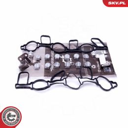 ESEN SKV Reparatursatz, Saugrohrmodul 49SKV523 f&uuml;r VAG Audi