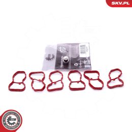 ESEN SKV Reparatursatz, Saugrohrmodul 49SKV522 f&uuml;r BMW