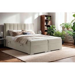 Boxbett Home Affaire "GALLIPOL mit Bettk&auml;sten, Matratze und Topper, Breite 140/160/180/200cm", creme, B:183cm L:209cm, Hartfaserplatte, Holz teilmassiv, Massivholz, Spanplatte, Komplettbetten, Stauraumbett mit Bonnell- oder Taschenfederkernmatratze (H2, H3)