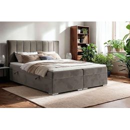 Boxbett Home Affaire "GALLIPOL mit Bettk&auml;sten, Matratze und Topper, Breite 140/160/180/200cm", taupe, B:143cm L:209cm, Hartfaserplatte, Holz teilmassiv, Massivholz, Spanplatte, Komplettbetten, Stauraumbett mit Bonnell- oder Taschenfederkernmatratze (H2, H3)
