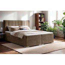 Boxbett Home Affaire "GALLIPOL mit Bettk&auml;sten, Matratze und Topper, Breite 140/160/180/200cm", beige, B:163cm L:209cm, Hartfaserplatte, Holz teilmassiv, Massivholz, Spanplatte, Komplettbetten, Stauraumbett mit Bonnell- oder Taschenfederkernmatratze (H2, H3)