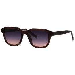 Sonnenbrille Tom Tailor "Tom Tailor Sonnenbrille", sepia transparent, Sonnenbrillen Sonnenbrille