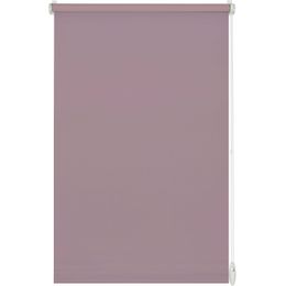 Seitenzugrollo Gardinia "EASYFIX Rollo Uni" Gr. 2, beige (perlmuttfarben), B:60cm H:150cm, Polyester, Rollos, Seitenzugrollo, in sanften Pastellt&ouml;nen