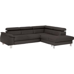 Ecksofa COTTA "Komaris L-Form, B: 249 cm", braun, B:249cm H:72cm T:100cm, Microfaser PRIMABELLE (100% Polyester);Kunstleder SOFTLUX;Feinstruktur (100% Polyester);Kunstleder SOFTLUX/Struktur (100% Polyester);NaturLEDER, Sofas, Ecksofa, mit Kopfteilverstellung, optional Bettfunktion, Bettkasten & Licht