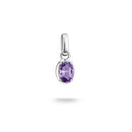 Charm-Einh&auml;nger Thomas Sabo "Birthstone/Geburtsstein Charm - Connect", lila (silberfarben, amethyst, amethyst), Charms, Damen, Februar, Silber 925 (recycelt), mit Zirkonia (synth.) oder Glas-Keramik Stein oder T&uuml;rkis-Imitat