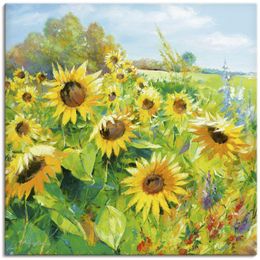 Wandbild Artland "Sommerwiese mit Sonnenblumen", gelb (farbe bild(er): gelb), B:70cm H:70cm, Bilder, als Leinwandbild, Poster in verschied. Gr&ouml;&szlig;en