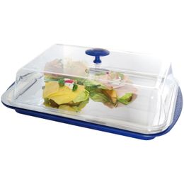 Buffet-Vitrine APS "Thermo Tablett Set", blau (blau, transparent, edelstahlfarben), B:43cm H:14cm L:29cm, Edelstahl, Kunststoff, Servierplatten, mit Haube, 43x29 cm, inkl. K&uuml;hlakkus