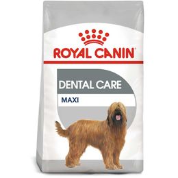 Royal Canin DENTAL CARE MAXI Trockenfutter f&uuml;r gro&szlig;e Hunde mit empfindlichen Z&auml;hnen 9kg
