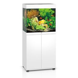JUWEL Lido 120 LED Komplett Aquarium mit Unterschrank SBX wei&szlig;