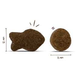 Bosch Adult Fisch & Kartoffel Hunde-Trockenfutter ohne Gentechnik 3kg
