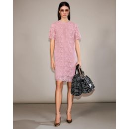JOOP! Spitzenkleid JOOP "Darlene", Damen, Gr. 36, N-Gr, medium pink, Spitze, Obermaterial: 65% Baumwolle, 23% Nylon, 12% Viskose, unifarben, regular fit kniefrei, Rundhals, eingesetzt Spitzenkante, Kleider, Regular fit mit Spitze