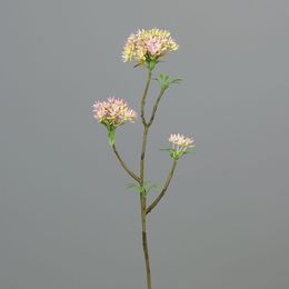 DPI Kunstblume BOWARDIENZWEIG
