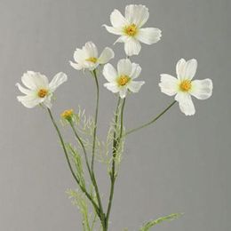 DPI Kunstblume COSMEA