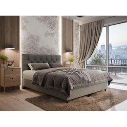 Boxbett FORTE "CABO erh&auml;ltlich in den Breiten 140cm, 160cm & 180cm, inkl. Bettkasten", dunkelgrau, B:164cm L:215cm, Der Bezugsstoff Wind aus der Davis-Kollektion ist ein moderner Strukturstoff mit angenehm weicher Oberfl&auml;che. Er kombiniert ansprechendes Design mit hoher Strapazierf&auml;higkeit. Der Stoff ist schwer entflammbar (Zigarettentest bestanden), REACH-zertifiziert und frei von Schadstoffen &ndash; 
