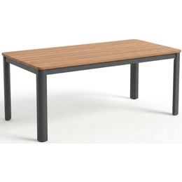Esstisch AMBIENTE HAUS "Garten Esstisch Alu 220x95cm - grau", braun (grau), B:220cm H:74cm T:95cm, Alluminium, Tische, Esstisch