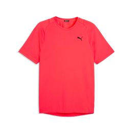 Trainingsshirt Puma "M PWRMODE TEE", Jungen, Gr. L, pink (ultra rot), Jersey, Obermaterial: 92% Polyester, 8% Elasthan, regular fit normal, Rundhals, Shirts, Regular Fit, kurz&auml;rmelig, sportlicher Stil, f&uuml;r Training
