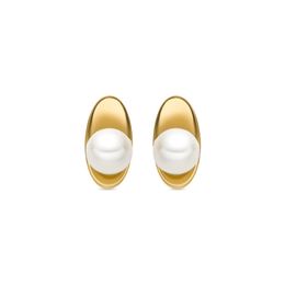 Luxenter Ohrringe mit wei&szlig;er Perle in 18k Goldoptik - Lyhu