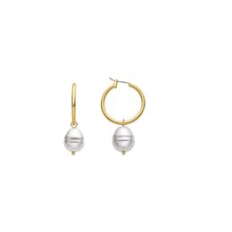 Luxenter Ohrringe mit wei&szlig;er Perle in 18k Goldoptik - Nemys