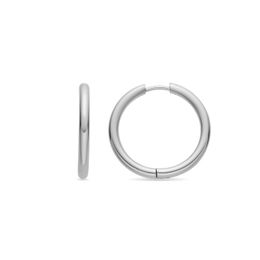 Ohrringe in Luxenter Silberoptik - Basem