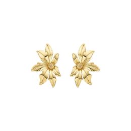 Luxenter-Ohrringe aus 18 Karat Gelbgold - Aucell
