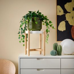 IKEA HONUNGSPALM &Uuml;bertopf