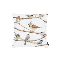 Apelt Kissen beige Ma&szlig;e (cm): B: 45 &raquo; M&ouml;bel Kraft