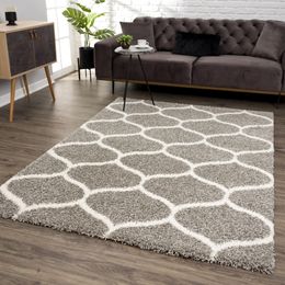 Hochflor-Teppich Sanat "Madrid", grau (hellgrau), B:160cm H:30mm L:230cm, Kunstfaser, Teppiche, Wohnzimmer, Langflor, Shaggy Teppich
