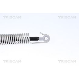 TRISCAN Gasfeder, Koffer-/Laderaum 8710112014 f&uuml;r BMW