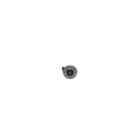 Bosch Dosiermodul, Harnstoffeinspritzung 0444021049 f&uuml;r STEYR