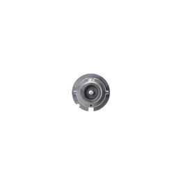 Bosch Gl&uuml;hlampe, Fernscheinwerfer 1987302904 D2S (Gasentladungslampe) f&uuml;r DAF Vaughall Volvo Fiat Iveco BMW TOYOTA MAN MAZDA Mercedes MITSUBISHI