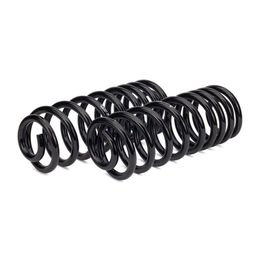 ARNOTT Fahrwerksatz, Federn c2987 hinten