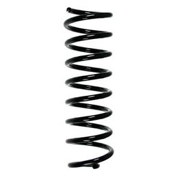 SPIDAN Fahrwerksfeder 85016 Hinterachse f&uuml;r RENAULT