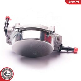 ESEN SKV Unterdruckpumpe, Bremsanlage 18skv021 f&uuml;r Ford