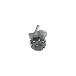 Bosch Hydraulikpumpe, Lenkung ks01001738 f&uuml;r Iveco RAM