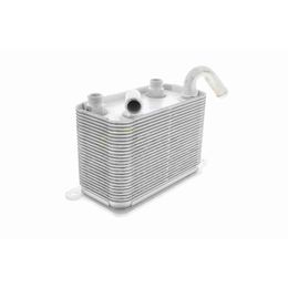 VEMO &Ouml;lk&uuml;hler, Automatikgetriebe v15606067 f&uuml;r CUPRA